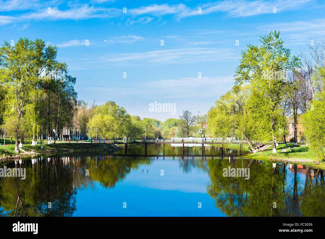 Spring forest at the cornfield hi-res stock photography and images - Alamy