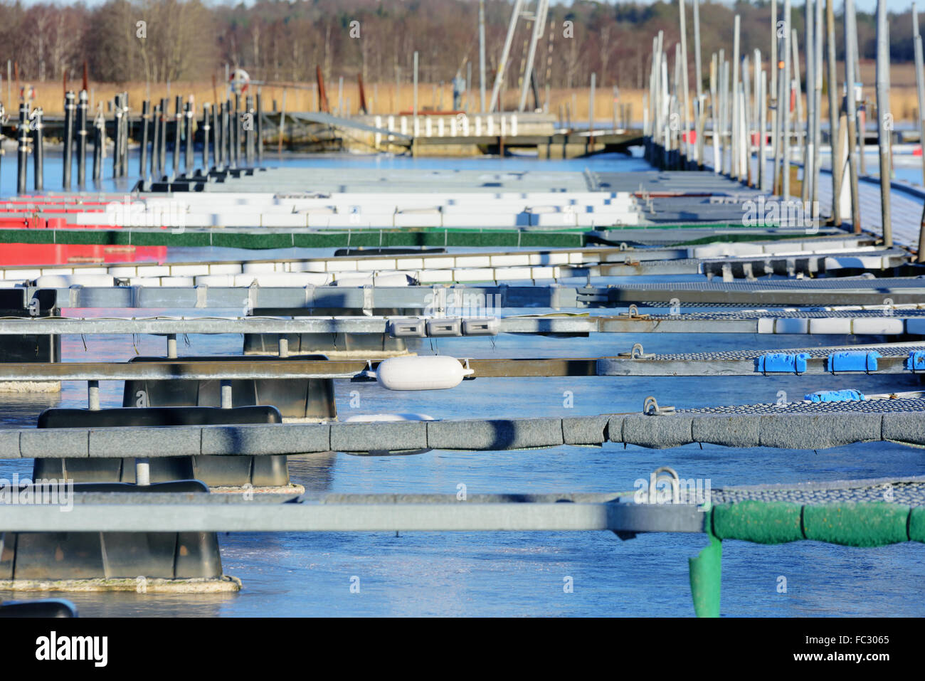 An abstract view over the mooring beams at a marina in winter. Shallow ...