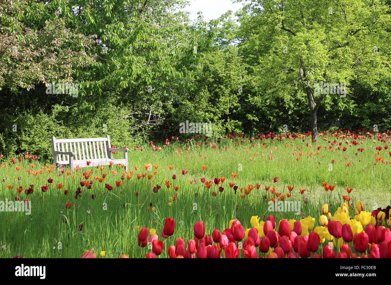 Lonely bench hi-res stock photography and images - Alamy