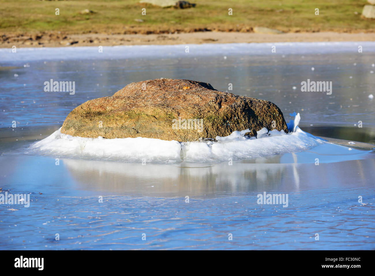 A granite boulder pushes through the ice surface as the ice level ...