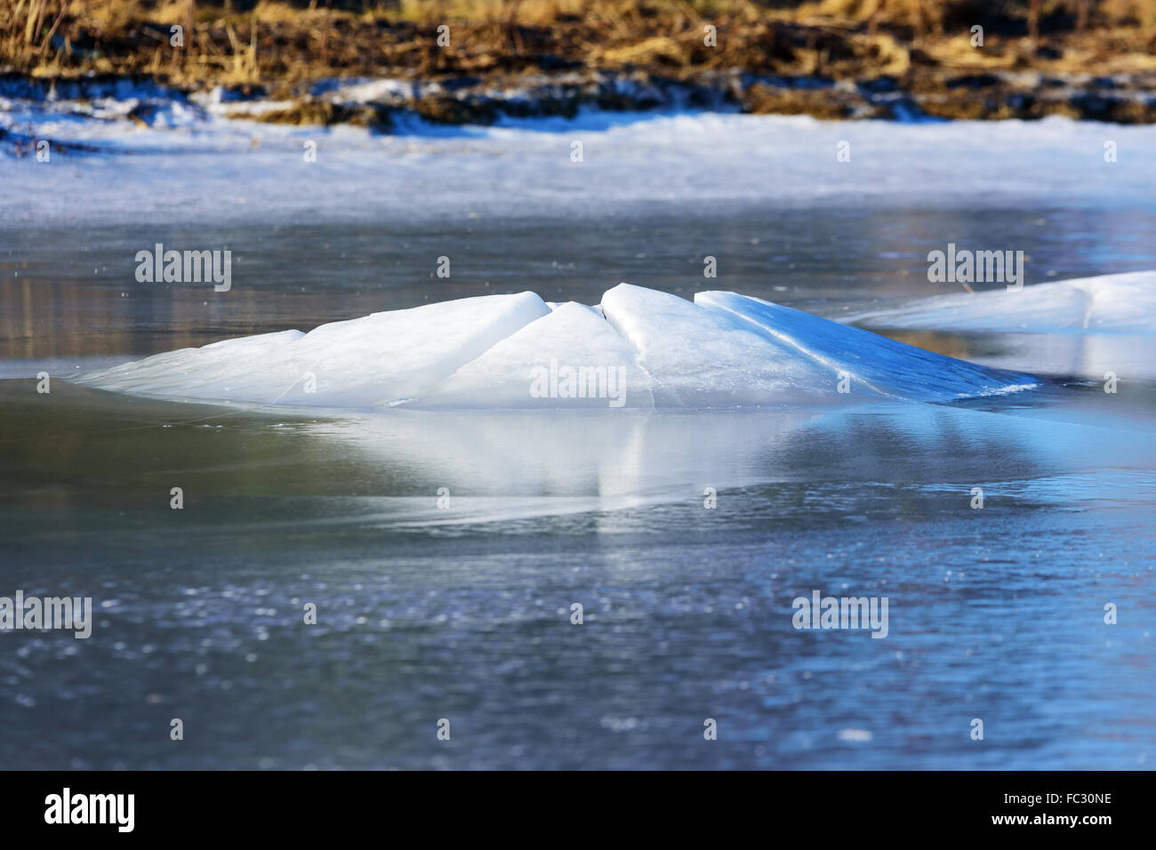 A granite boulder pushes through the ice surface as the ice level ...