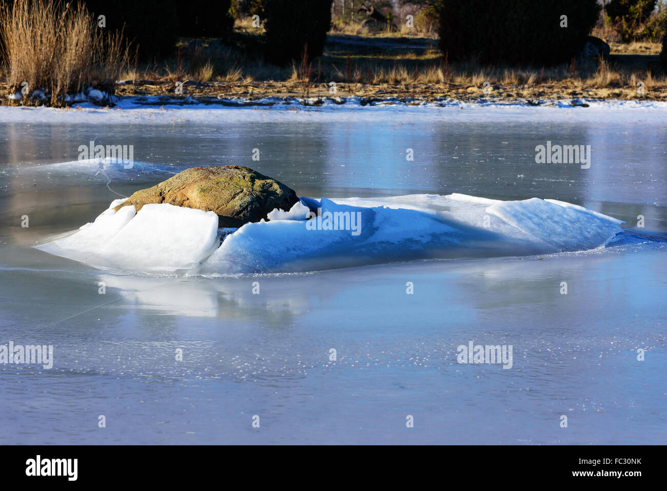 A granite boulder pushes through the ice surface as the ice level ...