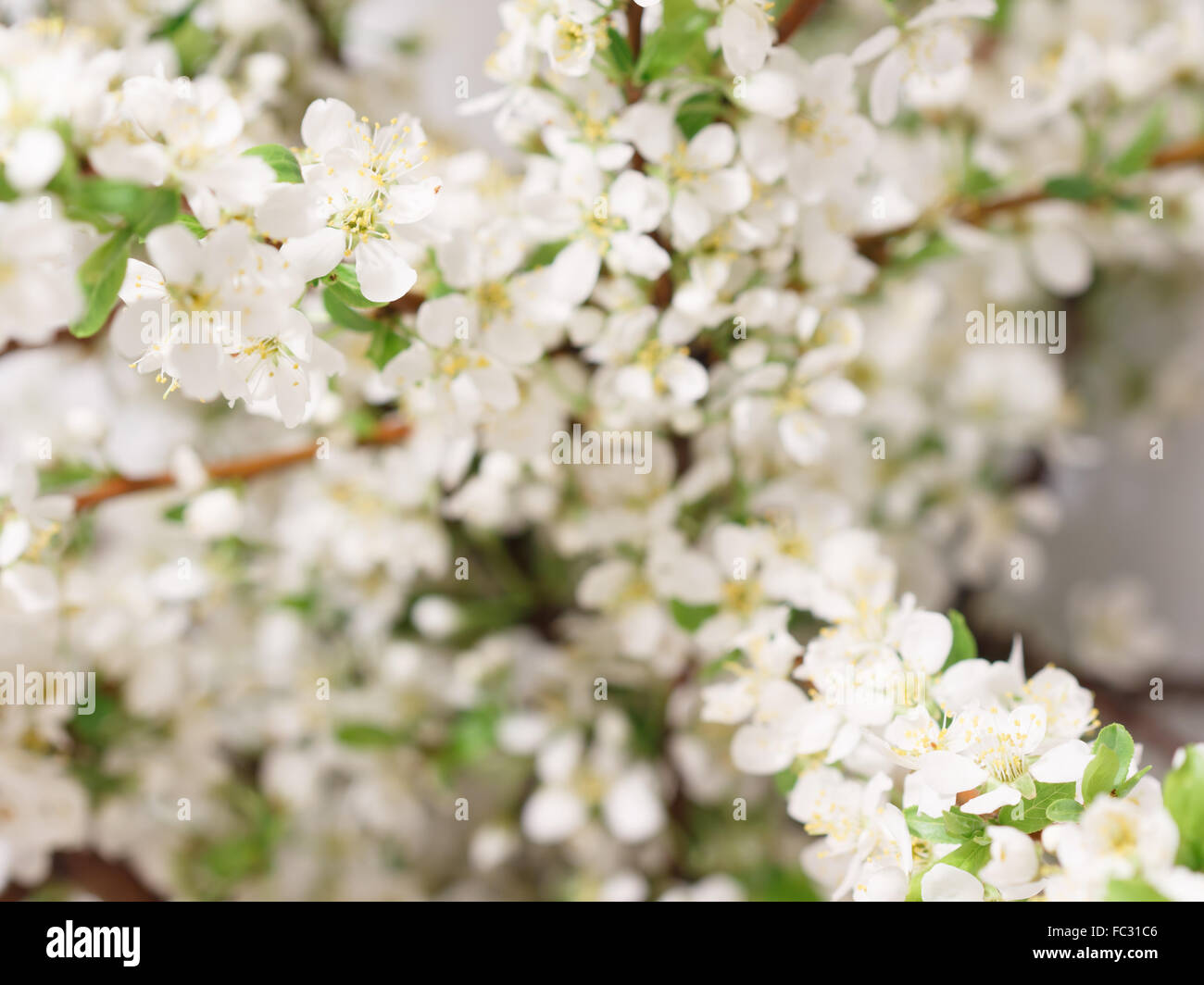 Cup breaking hi-res stock photography and images - Alamy