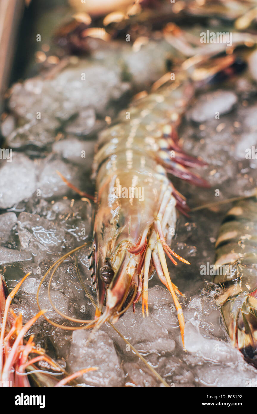 fresh prawn on ice in thailand Stock Photo - Alamy