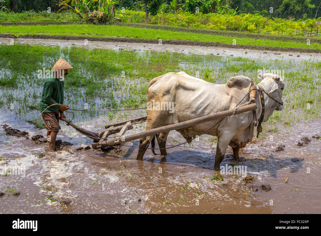 Merapi volcano farmer hi-res stock photography and images - Alamy