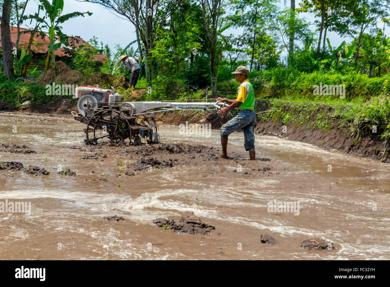 Farmers preparing soil paddy hi-res stock photography and images - Alamy