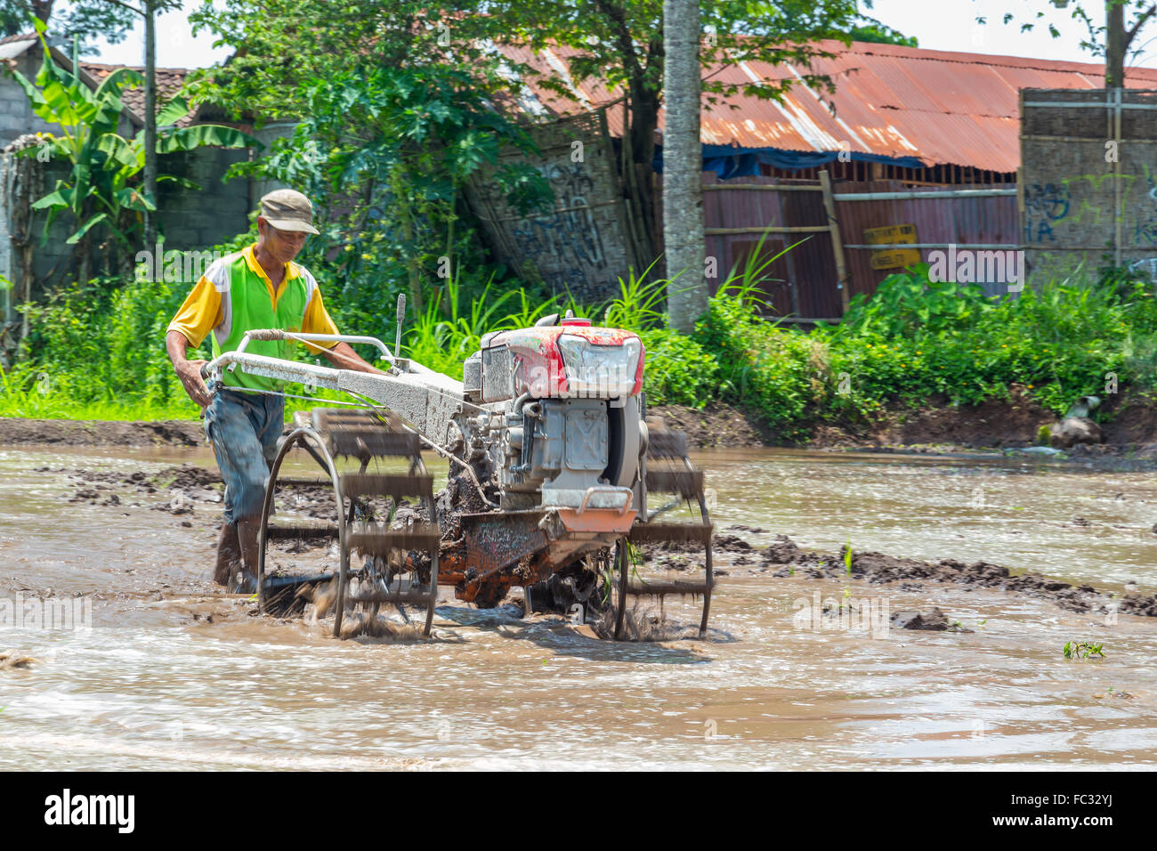 Preparing A Rice Paddy Stock Photos & Preparing A Rice Paddy Stock ...