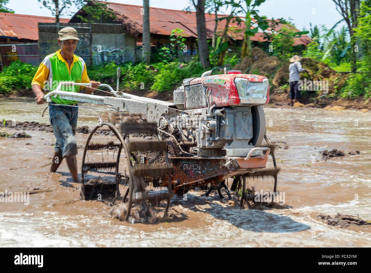 Preparing a rice paddy hi-res stock photography and images - Alamy