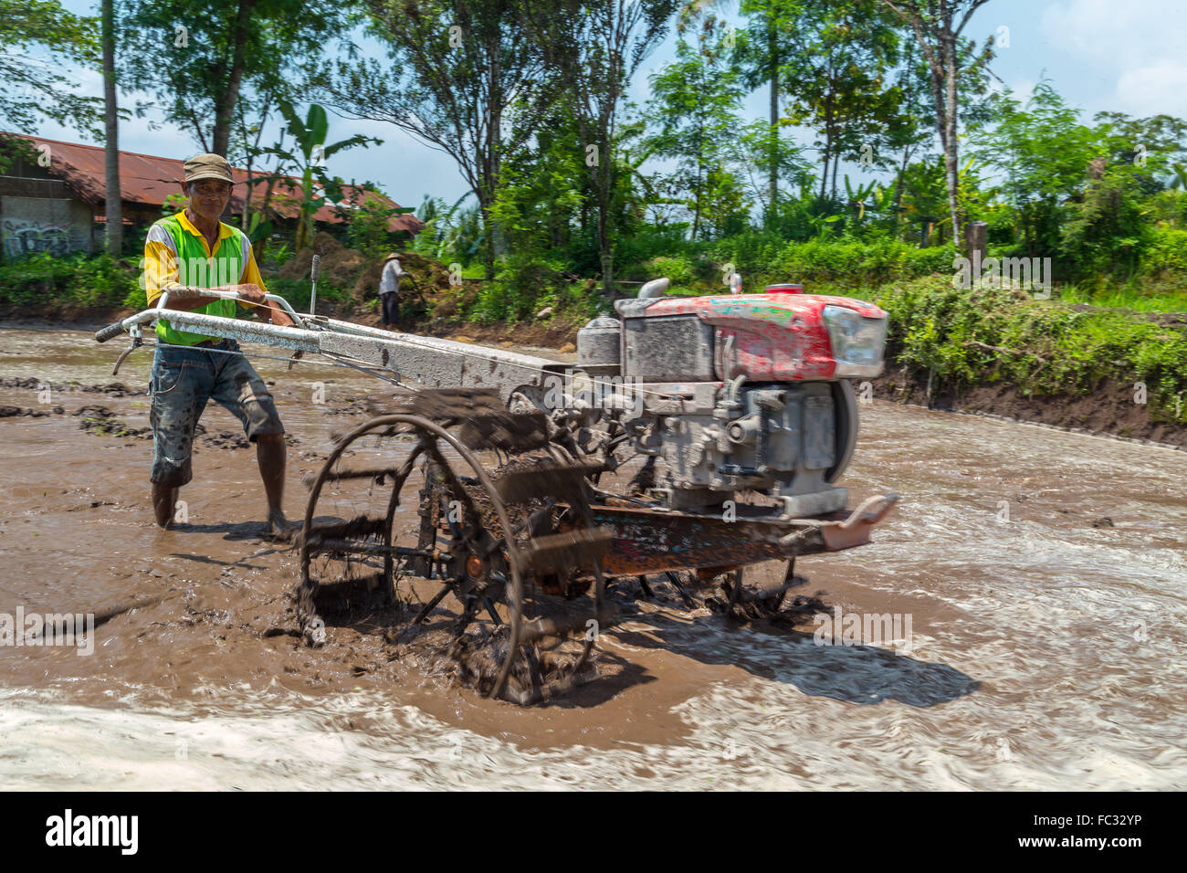 Preparing a rice paddy hi-res stock photography and images - Alamy