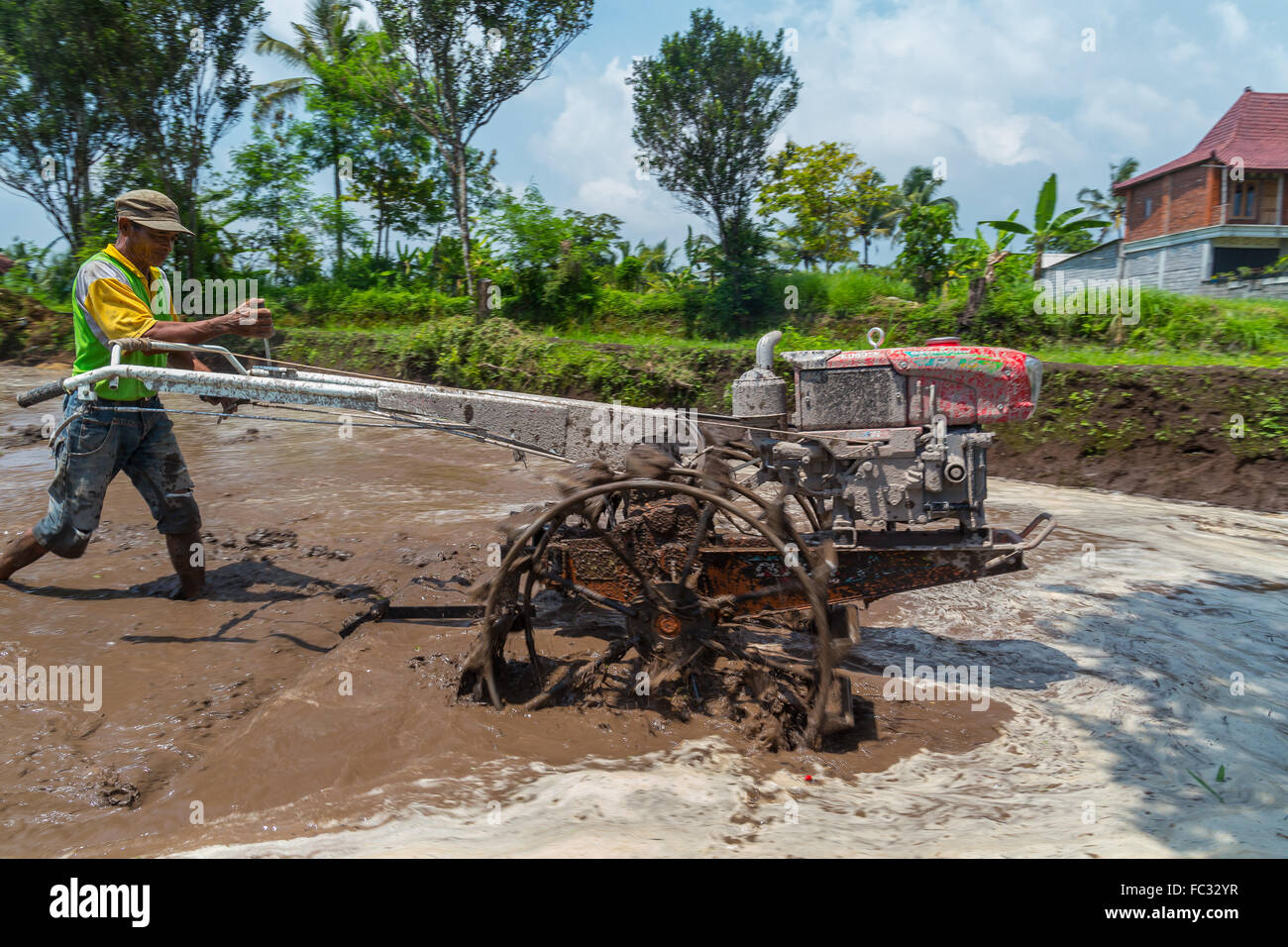 A farmer plows the paddy field for planting in a village nearby volcano ...