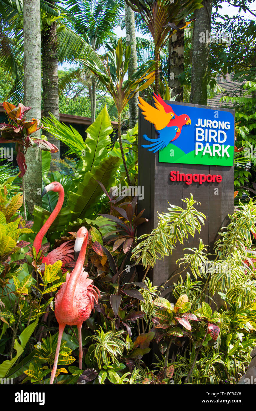 Singapore Zoo Bird Park