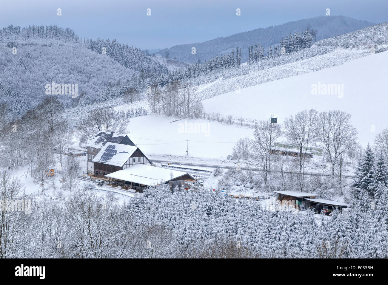 German countryside blanketed with snow in the Sauerland, Hochsauerland ...