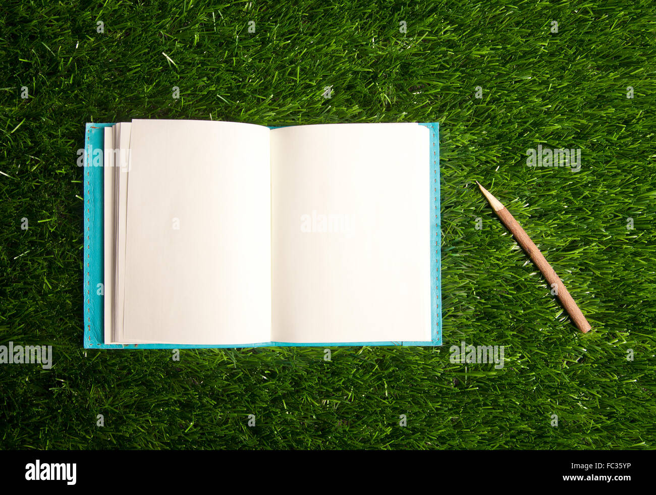 Notebook in the grass Stock Photo - Alamy
