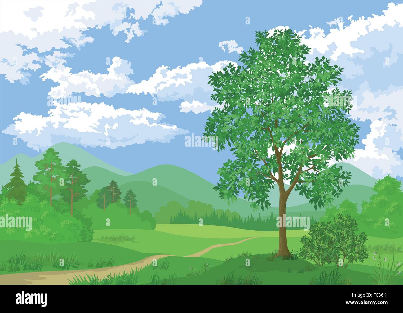 Landscape, summer forest and maple tree Stock Vector Image & Art - Alamy