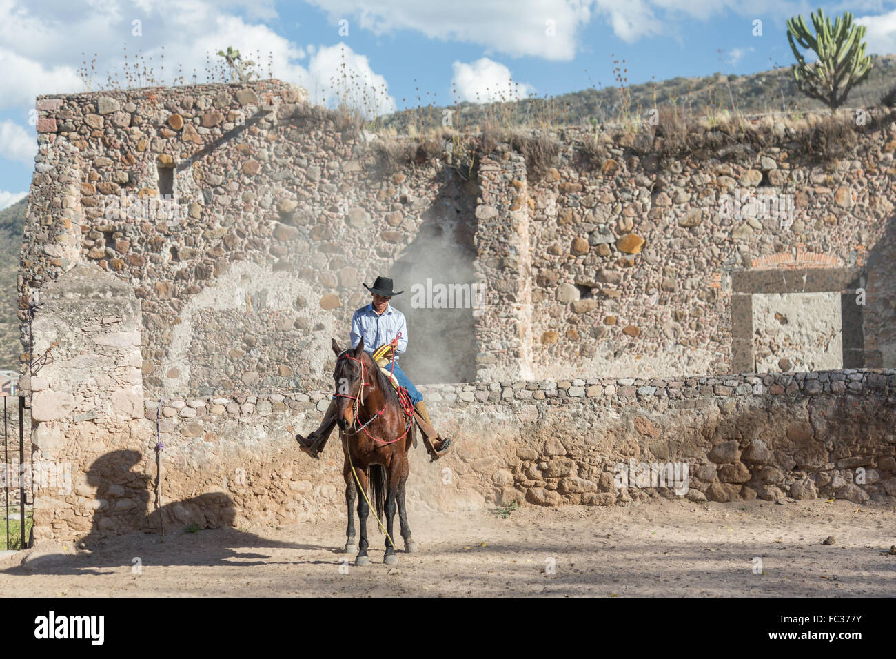 A Mexican charro or cowboy practices for Charreada competition at a ...
