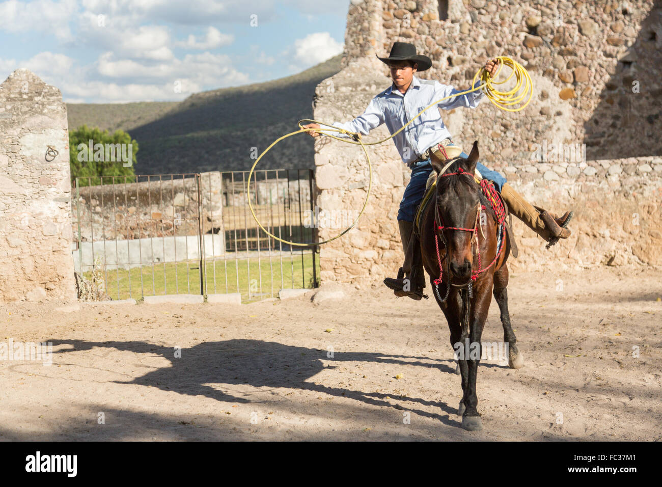 A Mexican charro or cowboy practices roping skills before a Charreada ...
