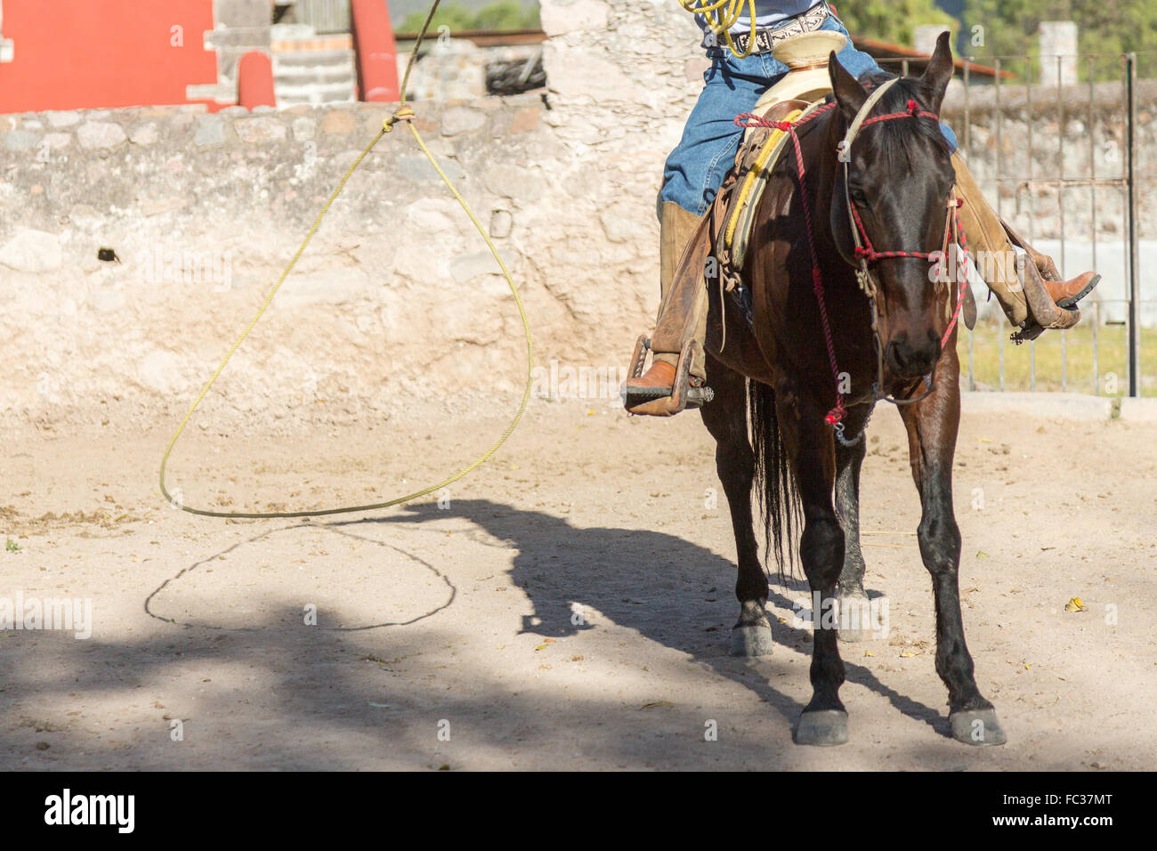 A Mexican charro or cowboy practices roping skills before a Charreada ...