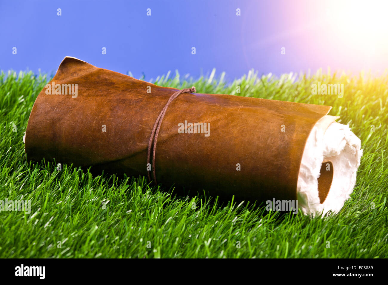 Scroll in the grass Stock Photo - Alamy