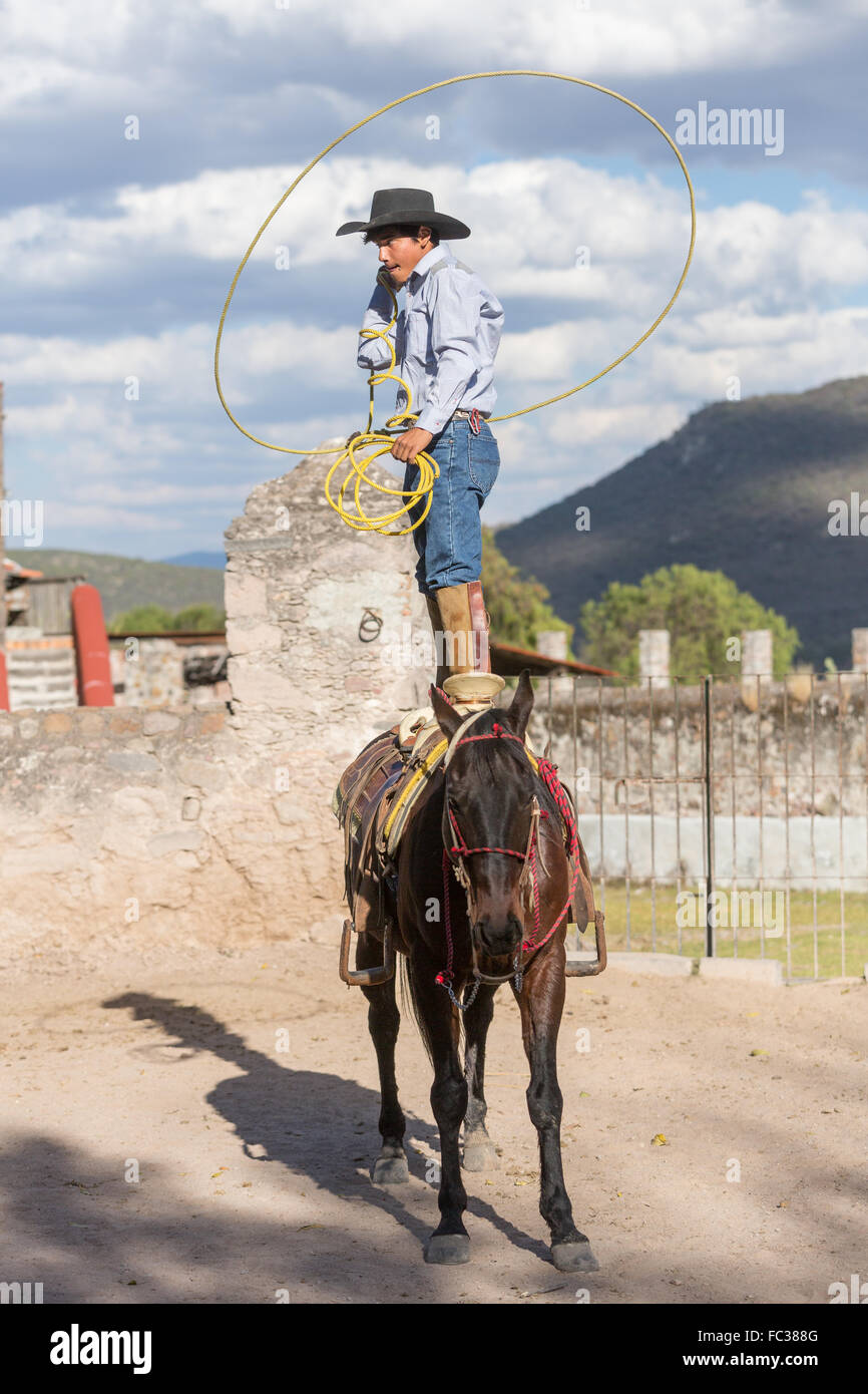 A Mexican charro or cowboy practices roping skills standing on his ...