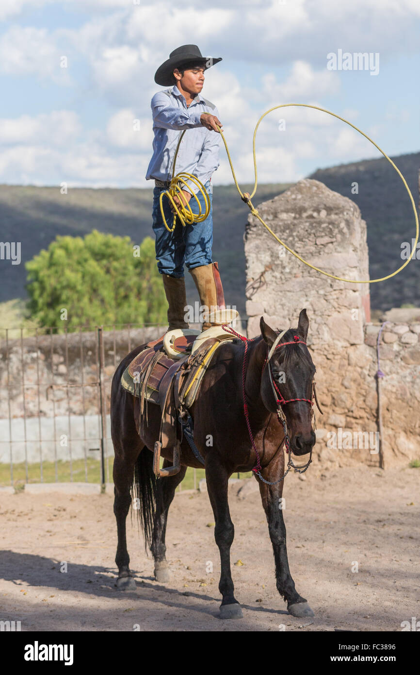 A Mexican charro or cowboy practices roping skills standing on his ...