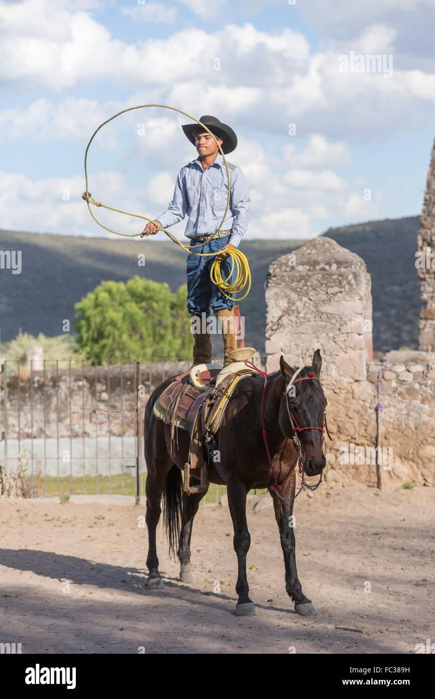 A Mexican charro or cowboy practices roping skills standing on his ...