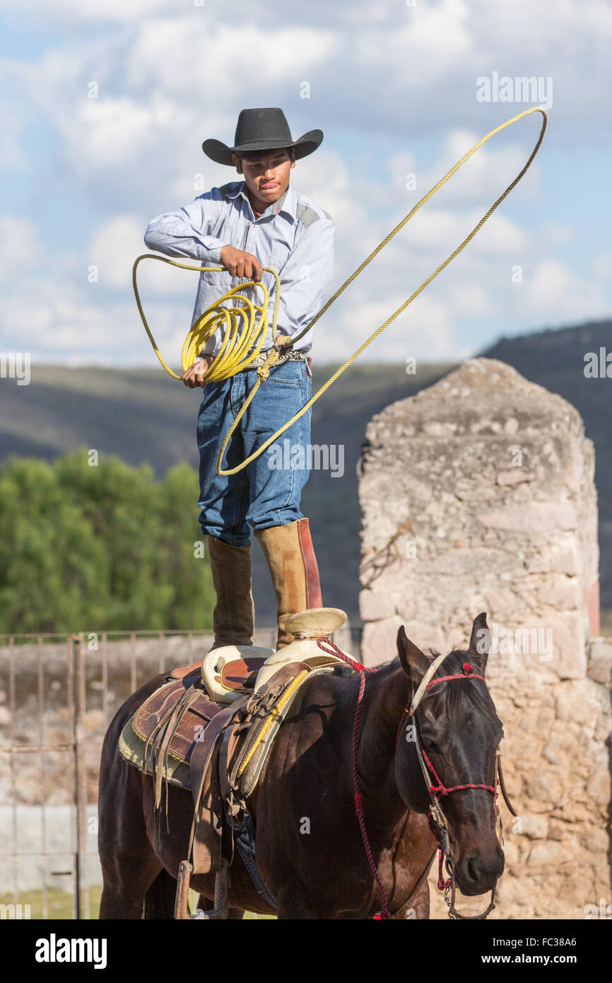 A Mexican charro or cowboy practices roping skills standing on his ...