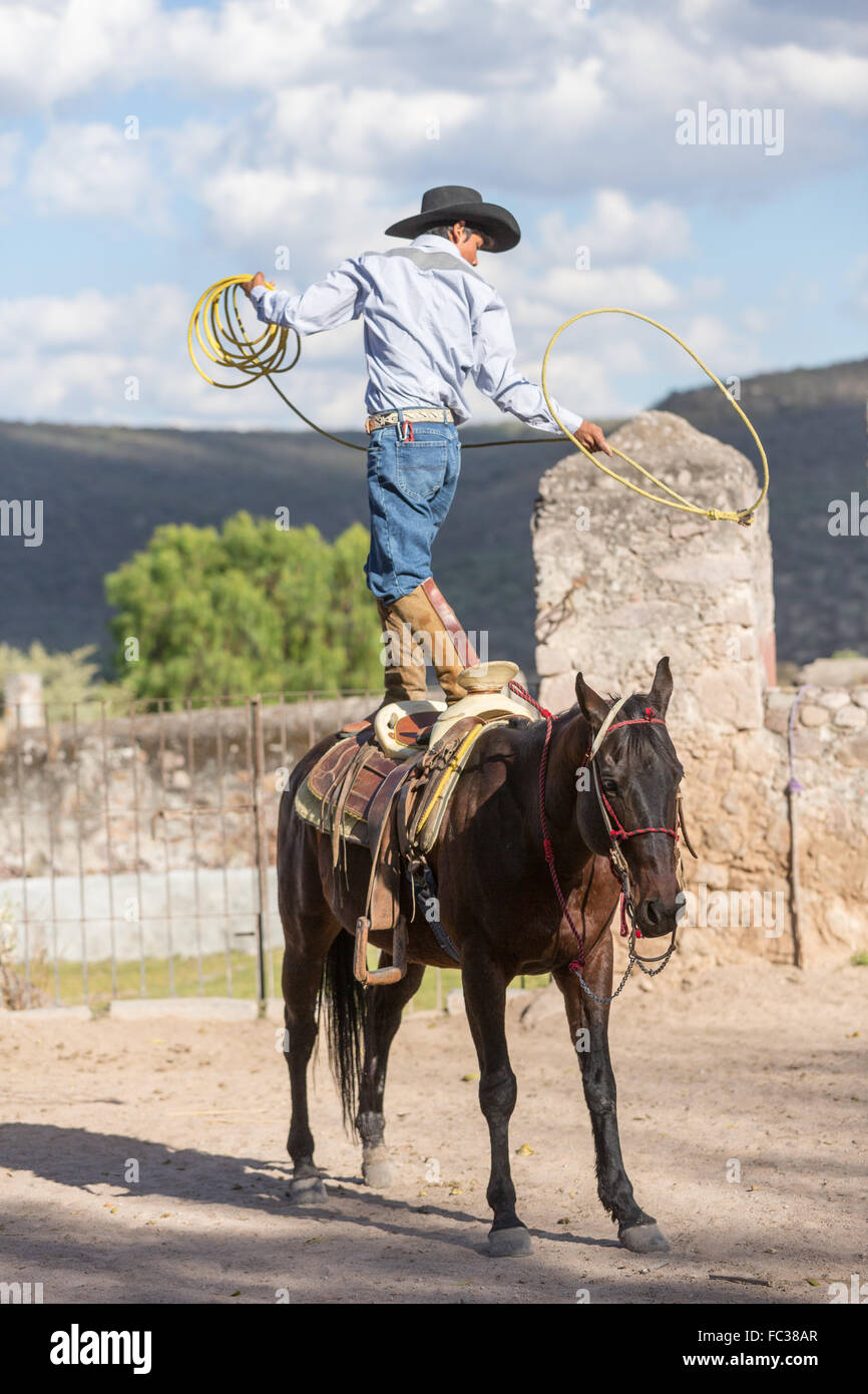 A Mexican charro or cowboy practices roping skills standing on his ...