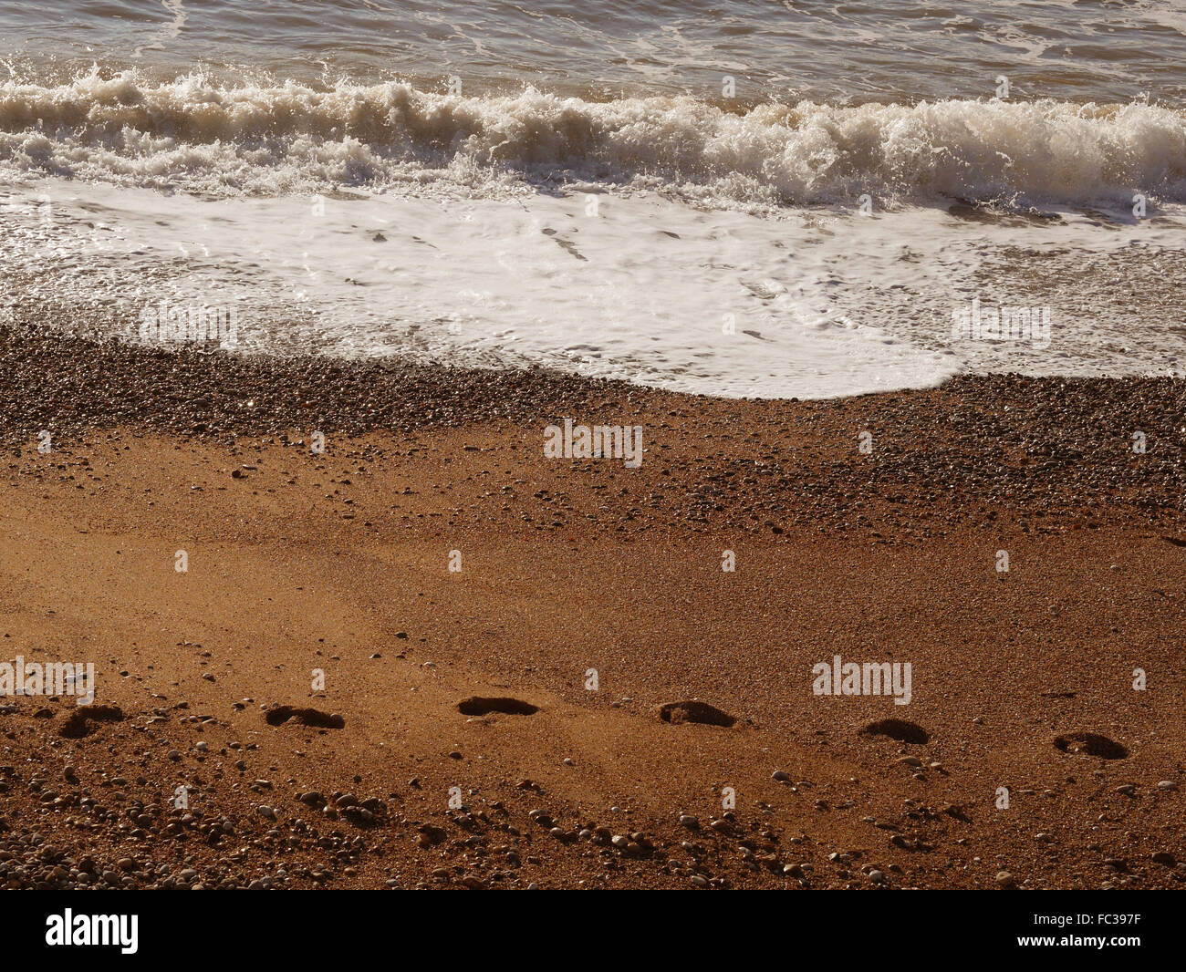 Footprints in a sandy beach Stock Photo - Alamy