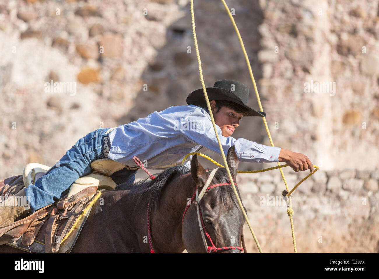 A Mexican charro or cowboy practices roping skills before a Charreada ...