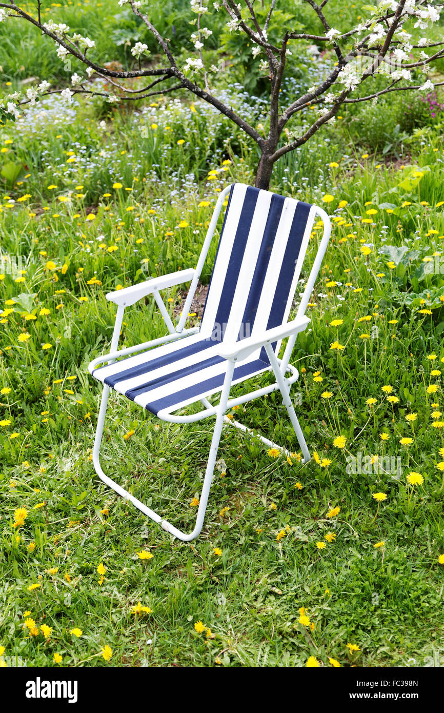 Chair under tree hi-res stock photography and images - Alamy
