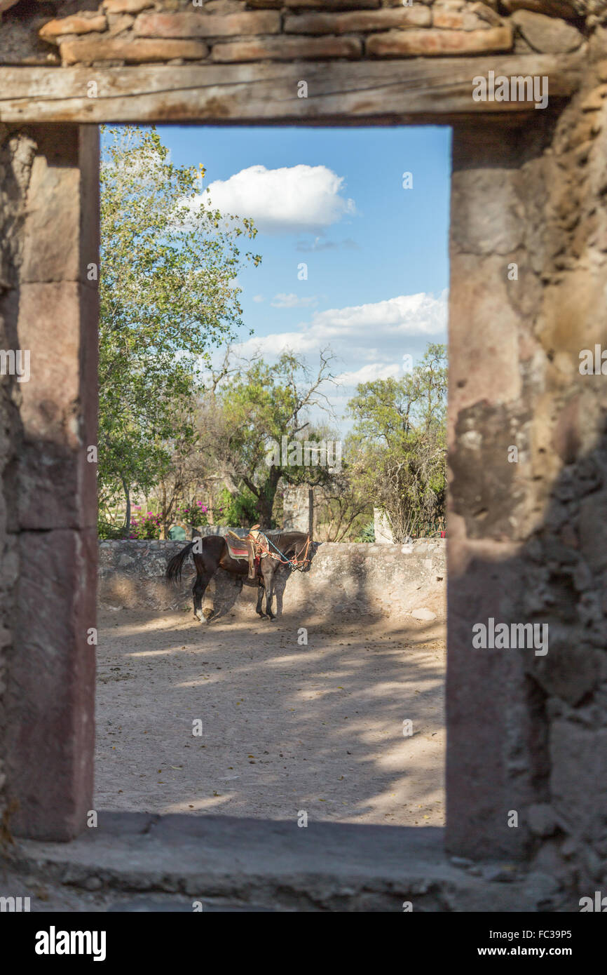 Charreada mexico hi-res stock photography and images - Alamy