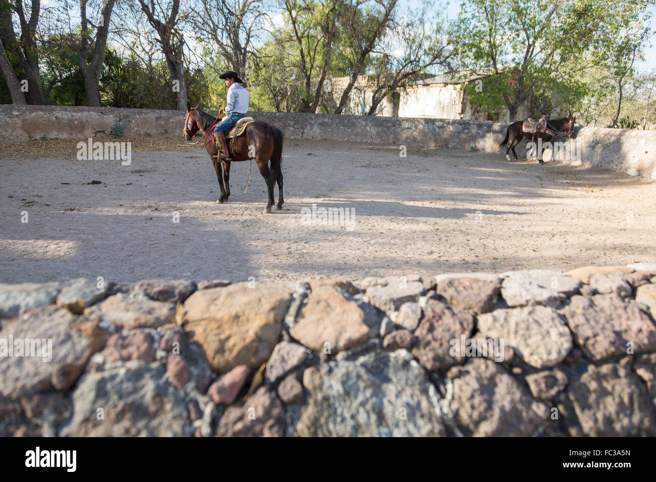 A Mexican charro or cowboy during practice for a Charreada competition ...