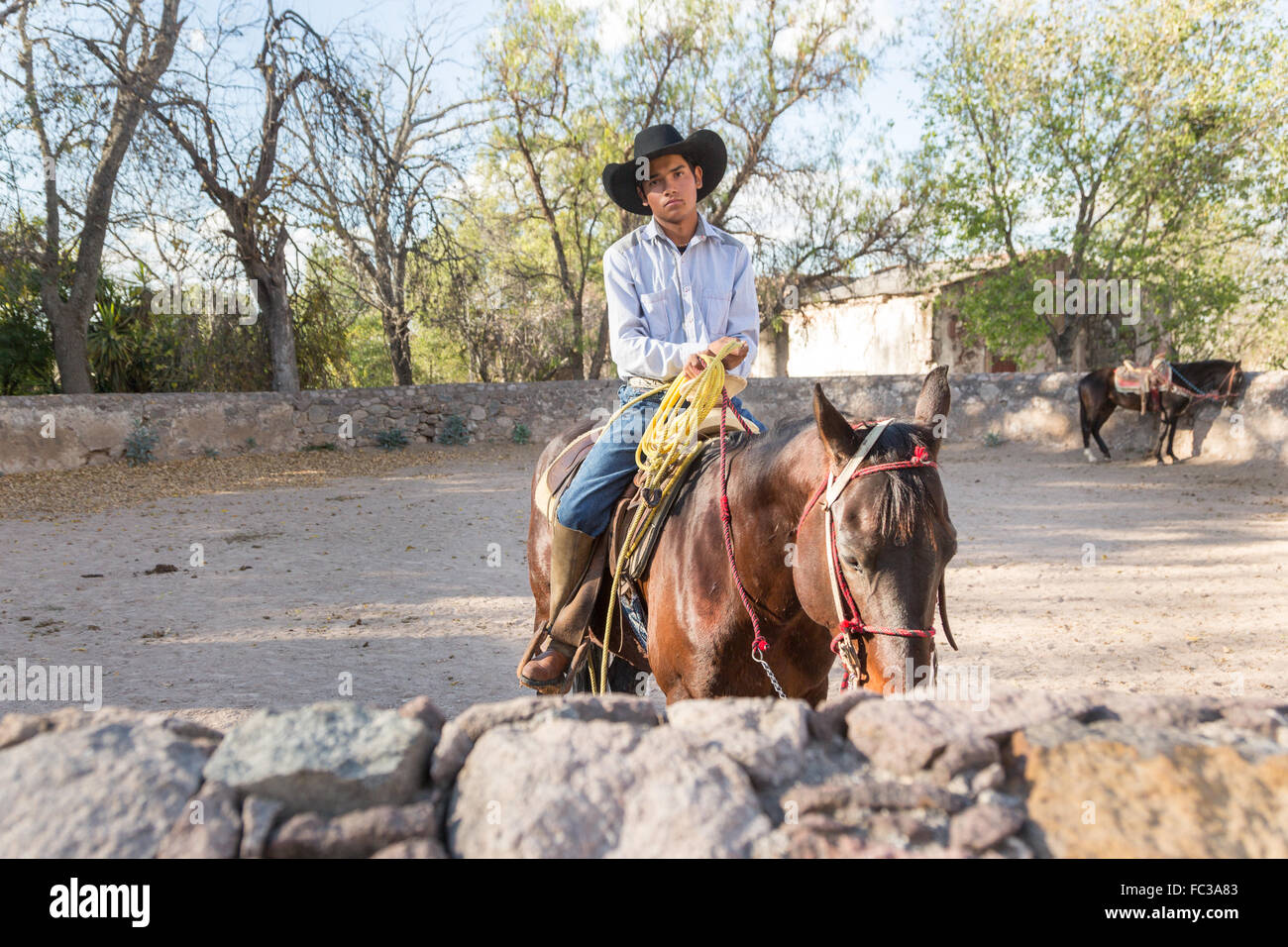 A Mexican charro or cowboy during practice for a Charreada competition ...