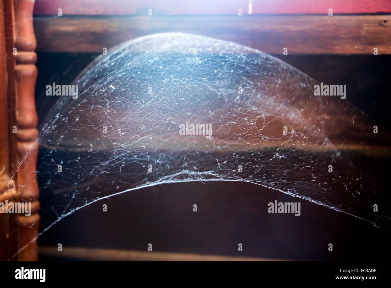 cobweb flutters in the breeze under the window Stock Photo - Alamy
