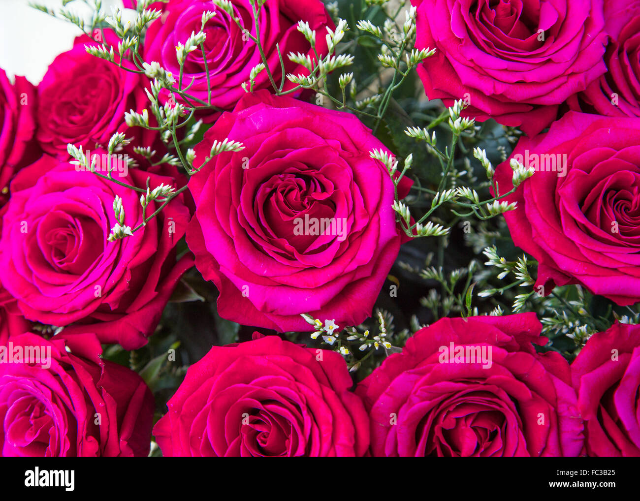 Roses structure hi-res stock photography and images - Alamy