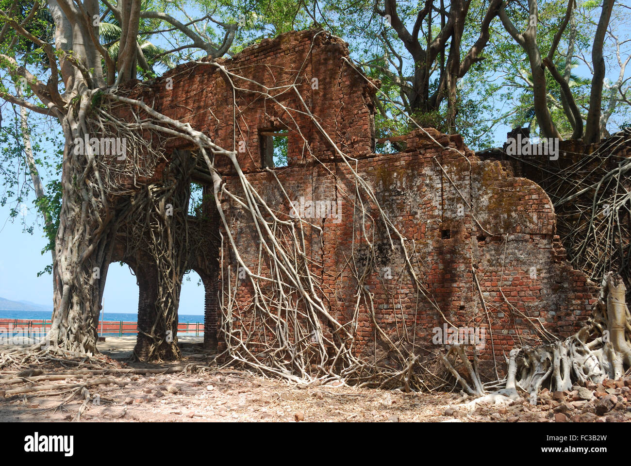 ruins of ross island,andaman islands,india Stock Photo - Alamy