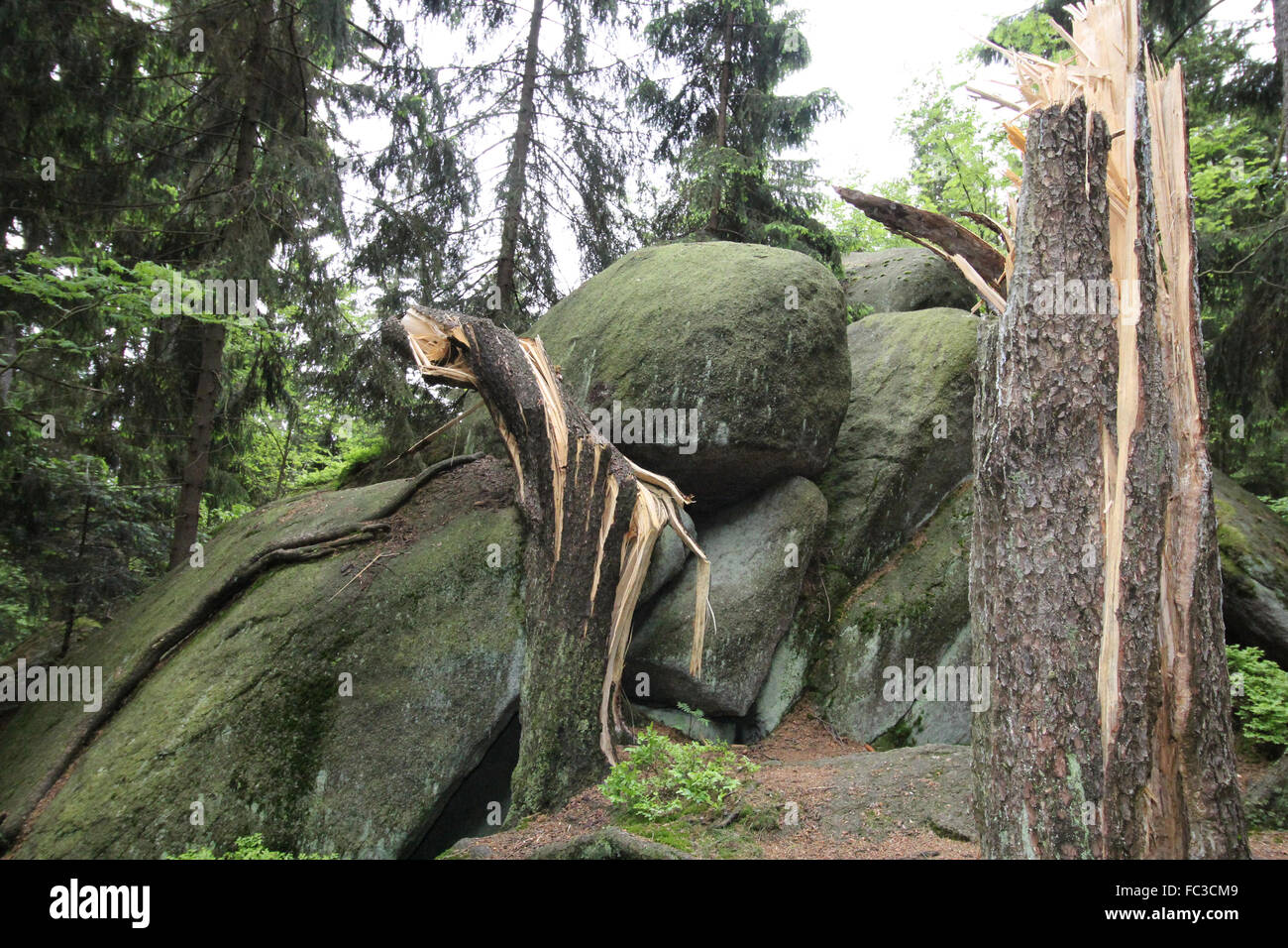 Felsenlabyrinth luisenburg hi-res stock photography and images - Alamy