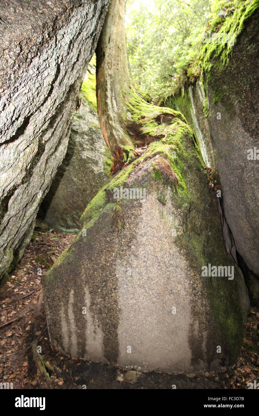 Felsenlabyrinth luisenburg hi-res stock photography and images - Alamy
