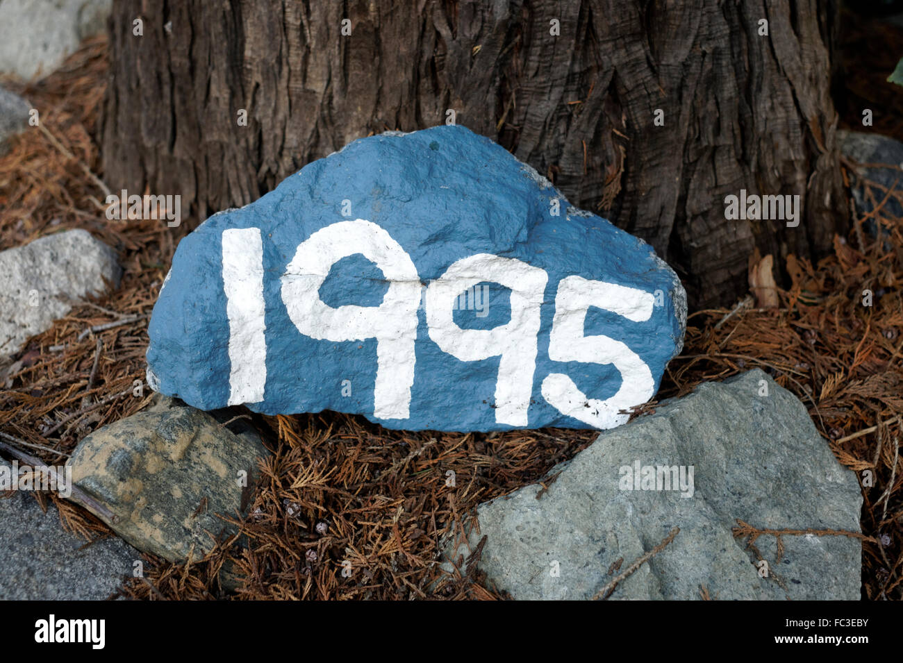 1995 year hi-res stock photography and images - Alamy