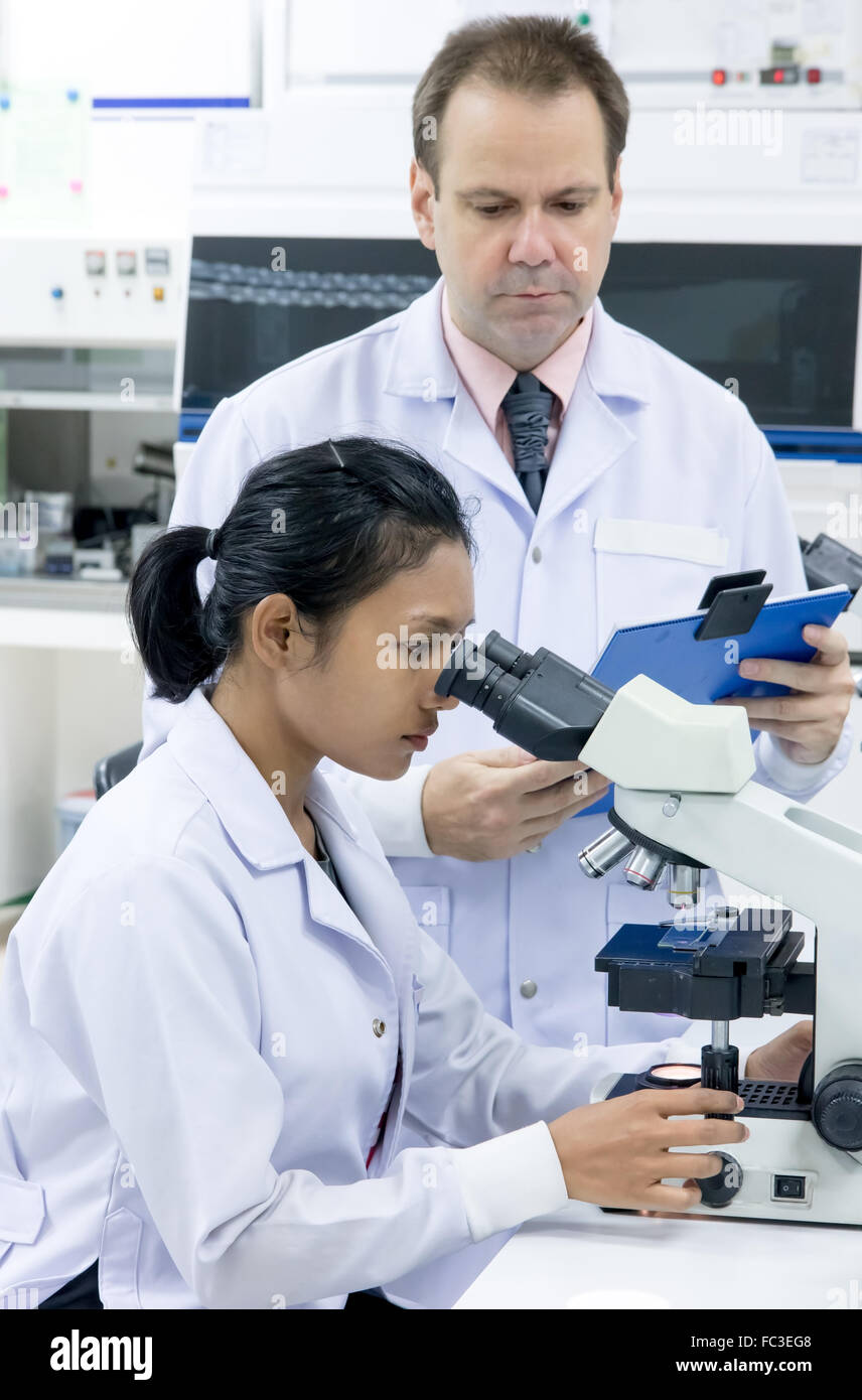 people working in a laboratory with a microscope Stock Photo - Alamy