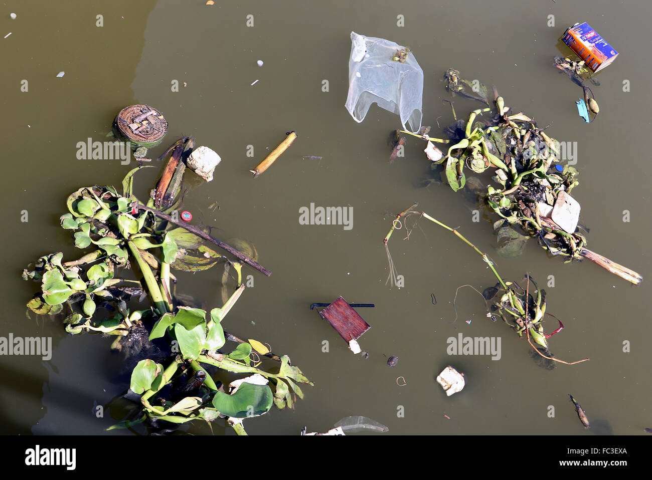 garbage floating in the river Chao Phraya Stock Photo - Alamy