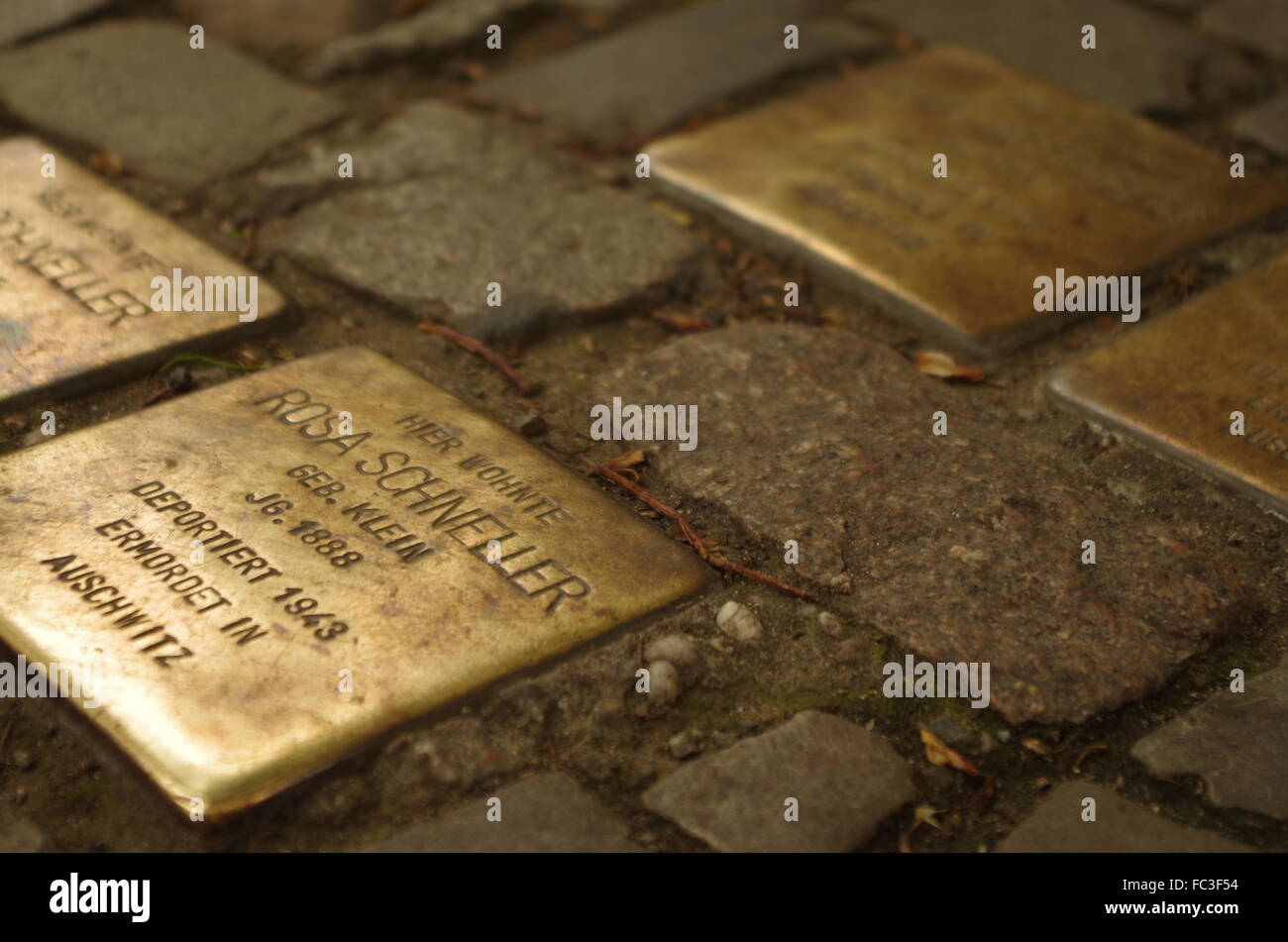 Tripping stones hi-res stock photography and images - Alamy