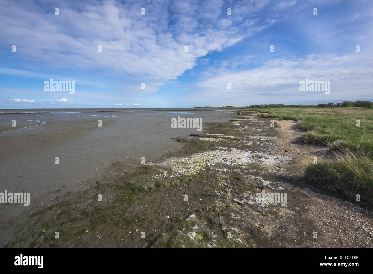 Salt marsh observation deck hi-res stock photography and images - Alamy