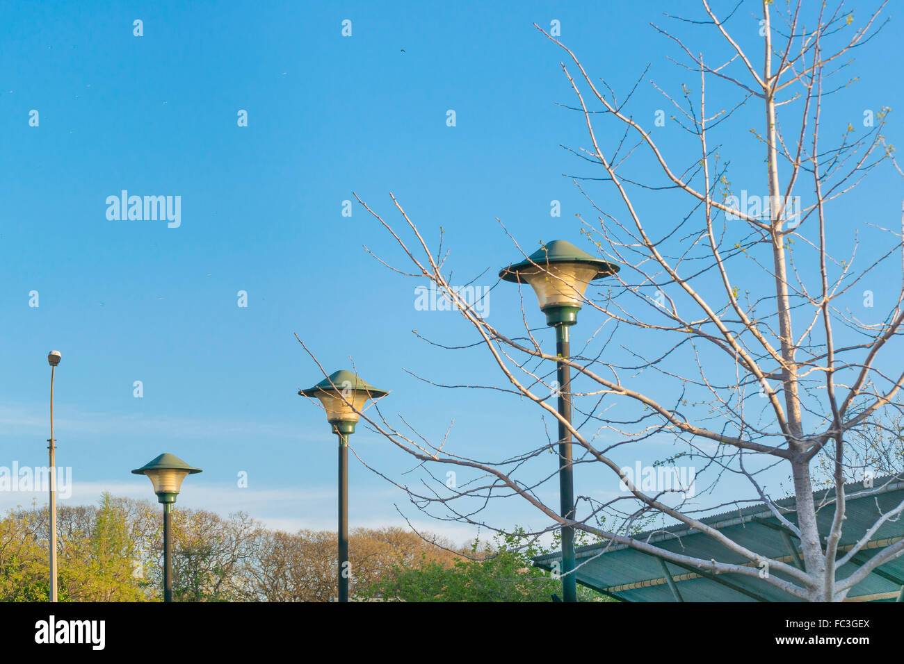 Perspective low angle view of a group of modern street lights at Parque ...