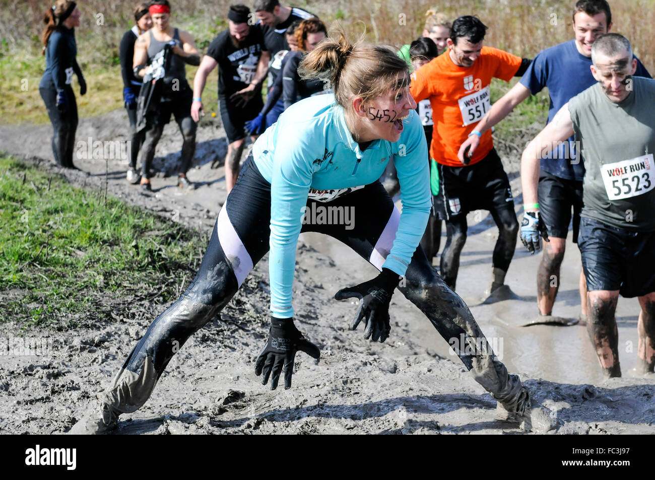 Runners crossing muddy obstacles at obstacle course race, UK Stock ...