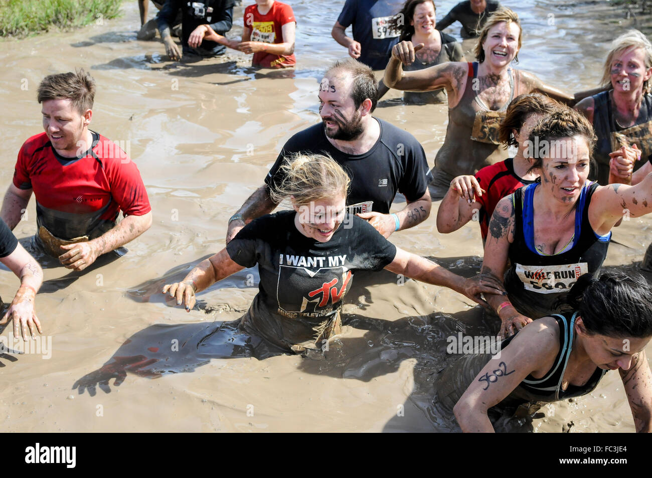 Runners crossing muddy obstacles at obstacle course race, UK Stock ...