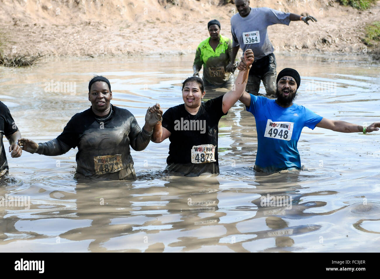 Runners crossing muddy obstacles at obstacle course race, UK Stock ...