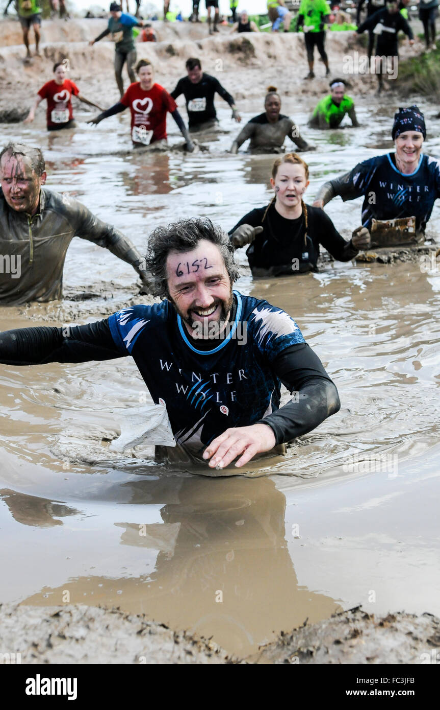 Runners crossing muddy obstacles at obstacle course race, UK Stock ...