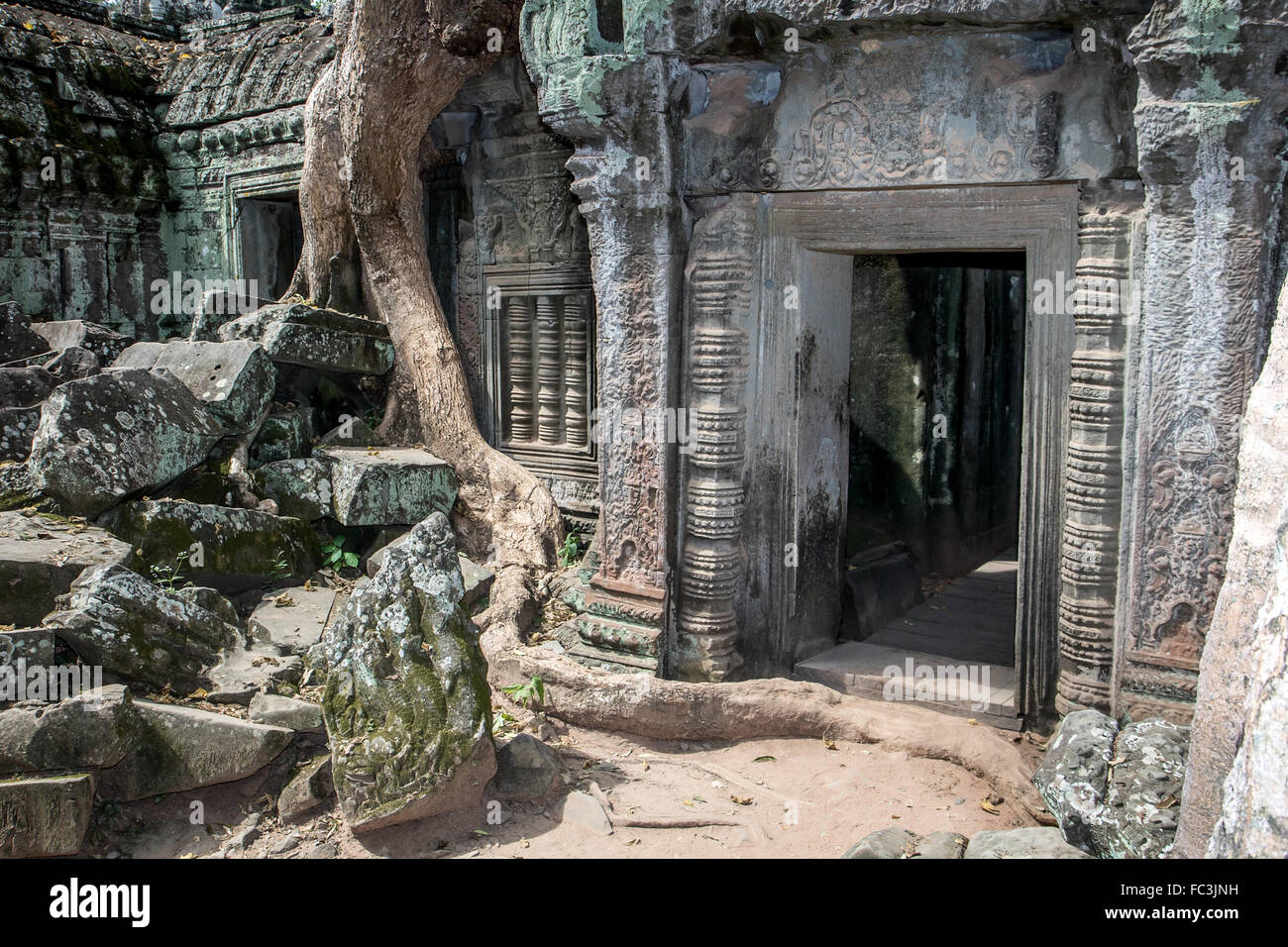 Khmer temple Ta Prohm Stock Photo - Alamy