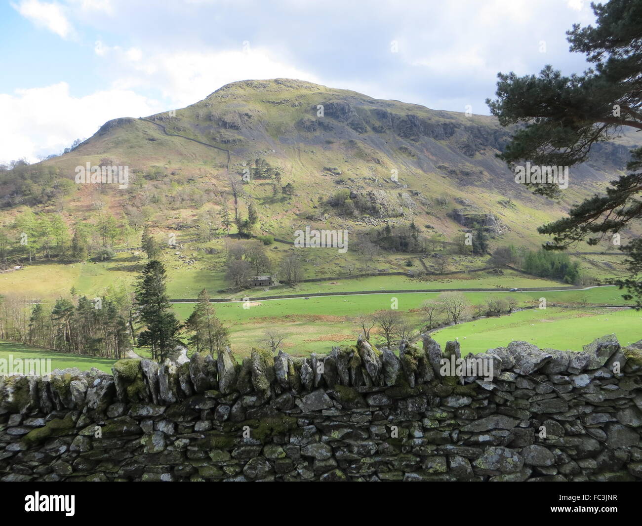 Looking south across Grisedale Valley near Patterdale in the English ...